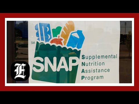 Food stamps: How to see the status of your SNAP benefits application