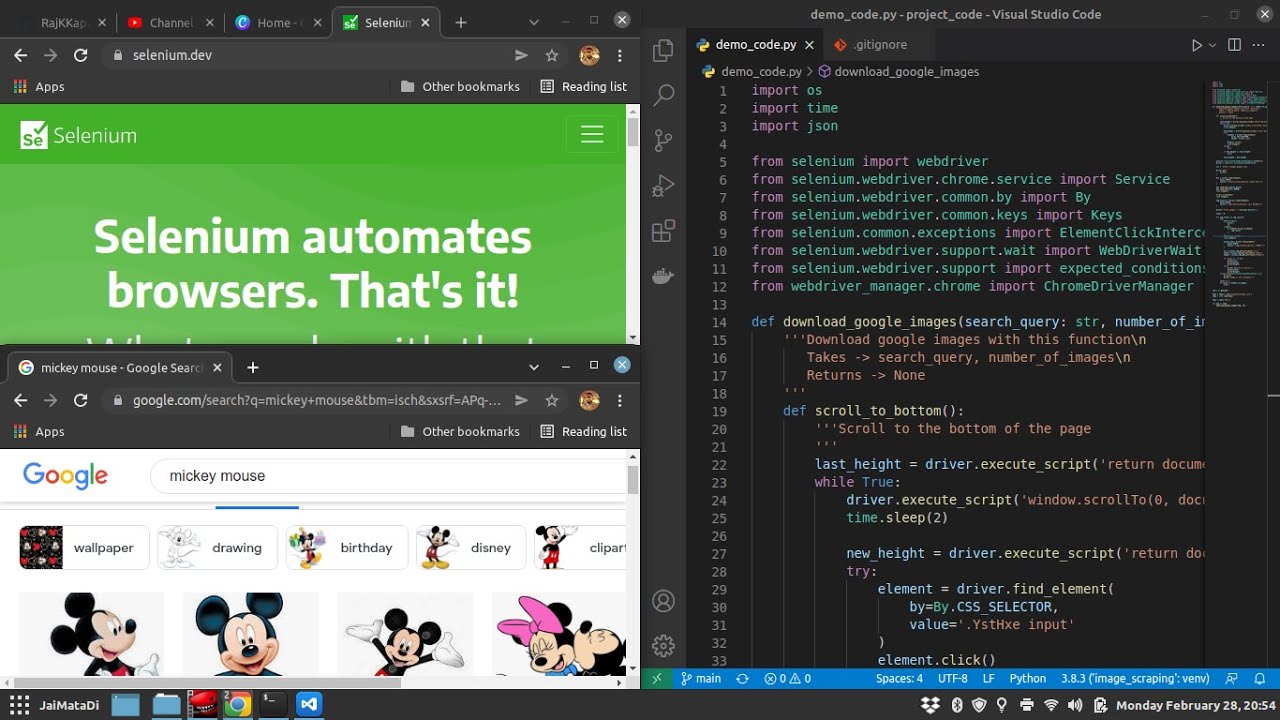Selenium Tutorial Python | Automate Google Image Downloading | Download Webdriver | Step by step