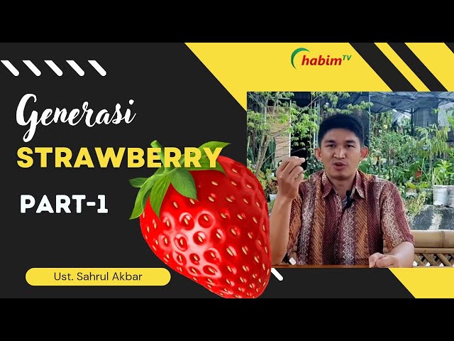 Understanding the Strawberry Generation: Characteristics and Challenges ...
