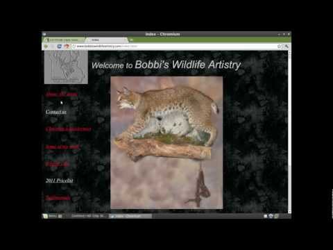 choosing a taxidermist and proper field care.