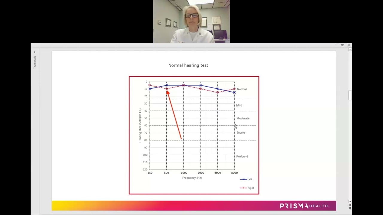 How to prevent hearing loss in the workplace - Prisma Health Employer Health Services