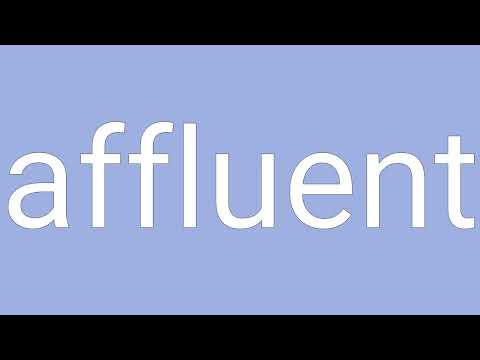 Affluent Definition & Meaning
