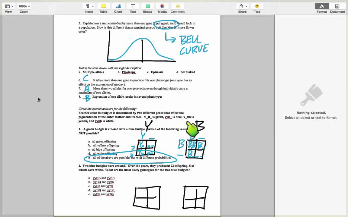 Basic Genetics Practice Problems
