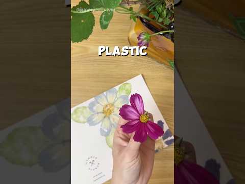 🌸✨ DIY Flower Pounding Art – Nature’s Colors on Fabric! ❤️