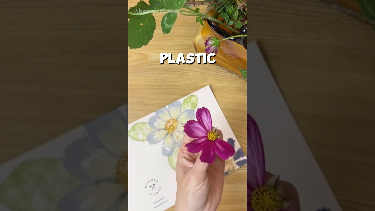 🌸✨ DIY Flower Pounding Art – Nature’s Colors on Fabric! ❤️