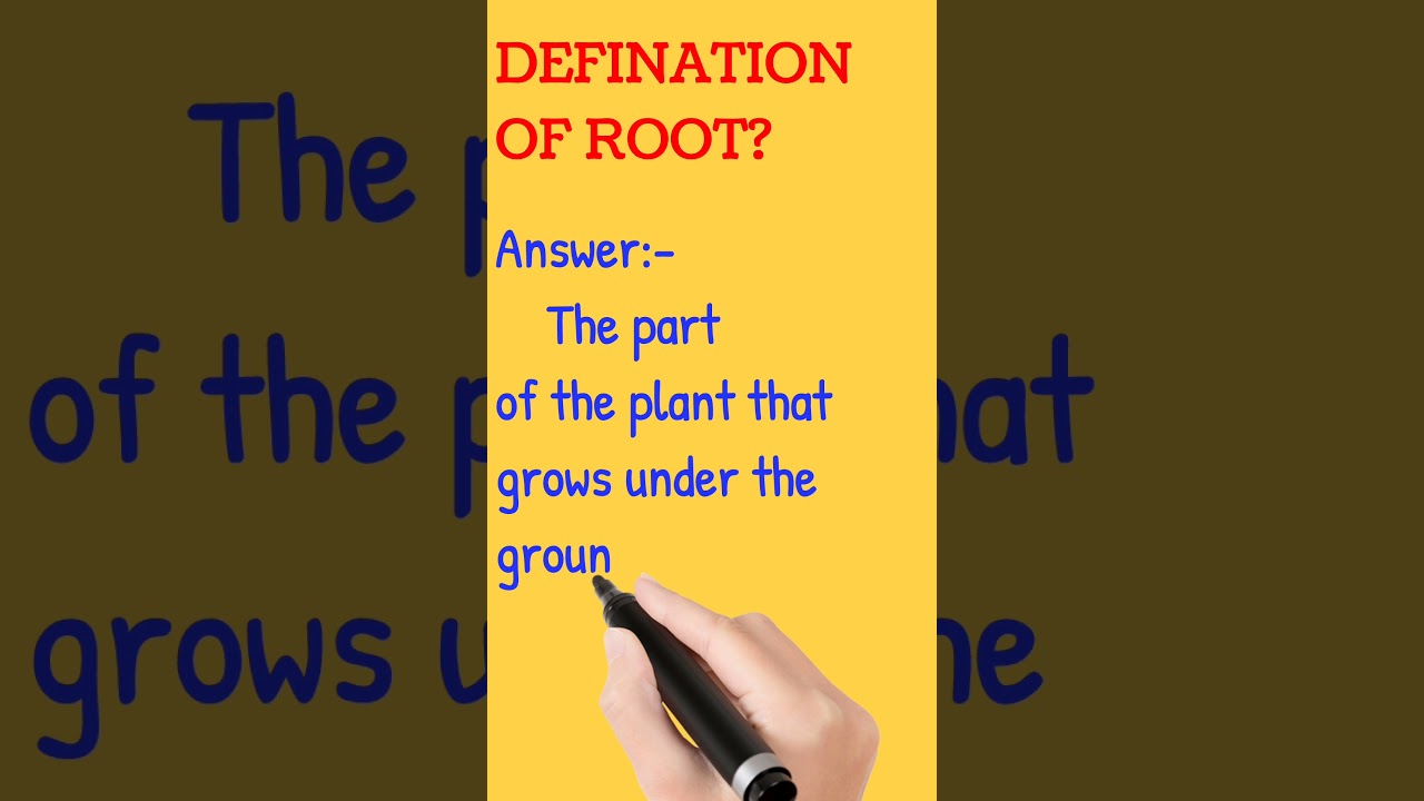 What Does The Root Entero Mean EN General What Does The Root Entero Mean EN General