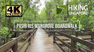 10 Things to Do in Pasir Ris Park Mangrove Boardwalk Trail, Pasir Ris ...