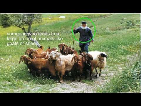 herdsman meaning | Vocabulary for Kids | Children's Dictionary  | Learn English Vocabulary