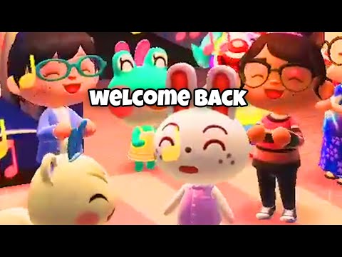Best/Funny Animal Crossing Memes #48