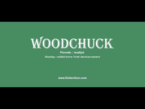 woodchuck: How to pronounce woodchuck with Phonetic and Examples