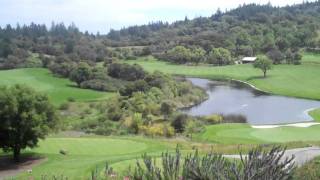 3 Best Golf Courses in Santa Rosa, CA - Expert Recommendations