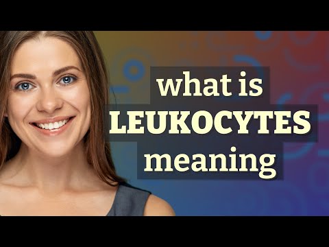 Leukocytes | meaning of Leukocytes