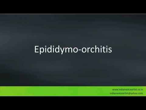 Pronunciation of the word(s) "Epididymo-orchitis".