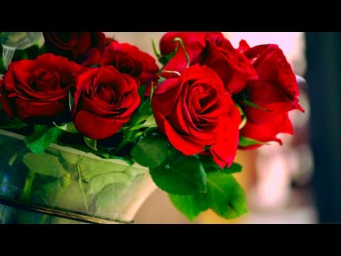 STORYTIME: BAD WAITRESS ON MOTHER'S DAY