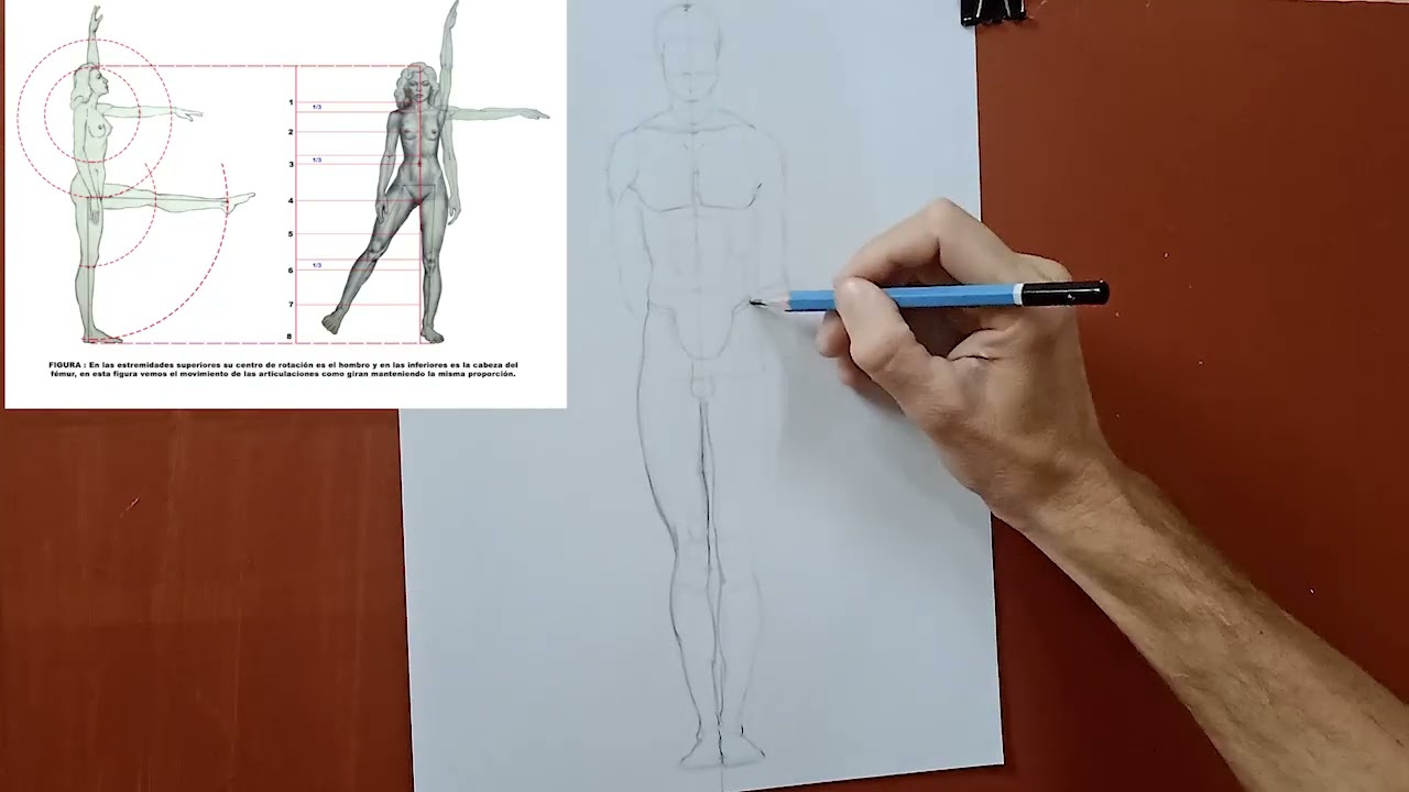 Cómo dibujar las proporciones del cuerpo humano en varias posiciones