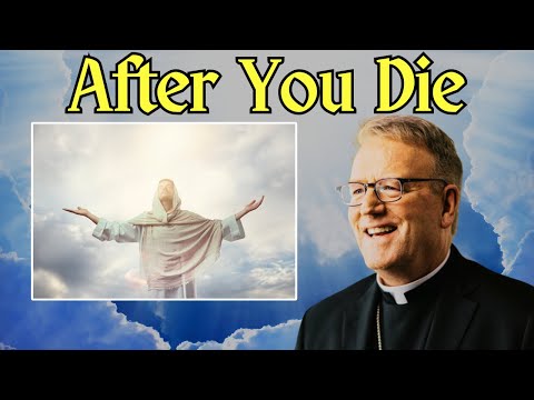 Catholic Priest BEAUTIFULLY Explains What Happens After You Die | Bishop Barron | @tjseaney reacts