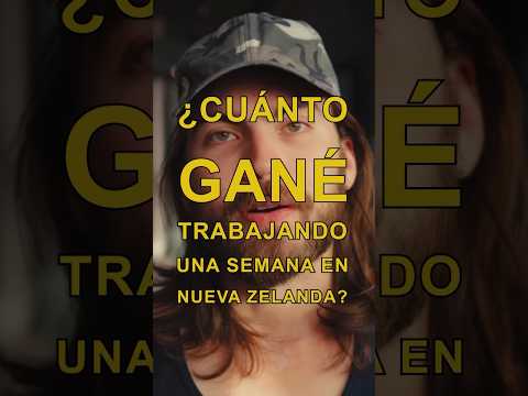 💰 Cuánto se GANA en Nueva Zelanda | #workingholiday #nuevazelanda