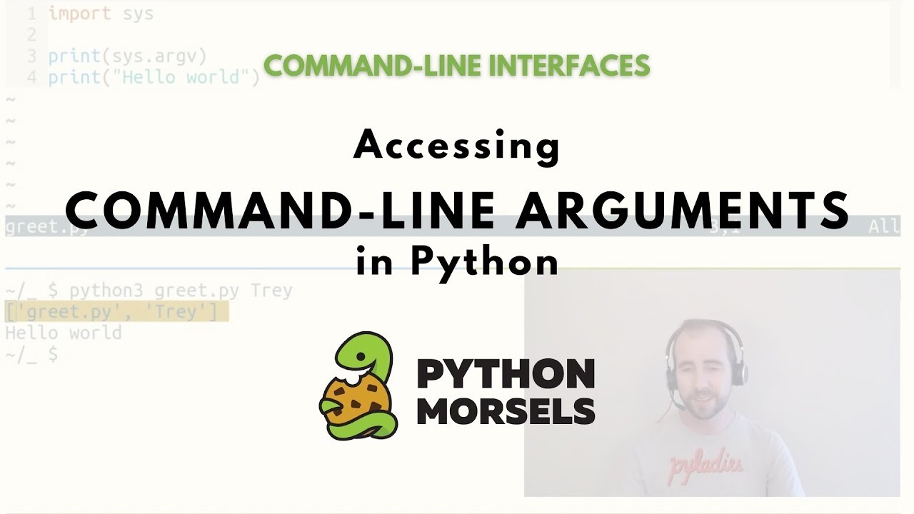 Accessing command line arguments in Python