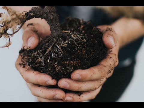 The Benefits of Humic Substances in Agriculture
