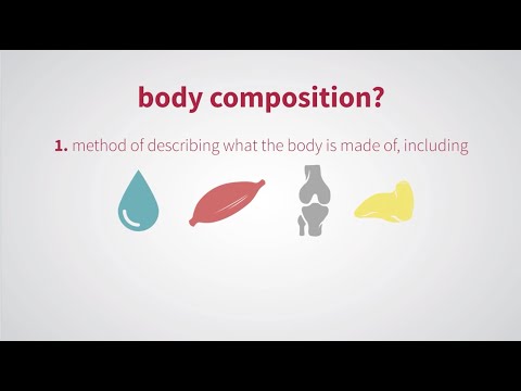 What is Body Composition? | ThreeHealth