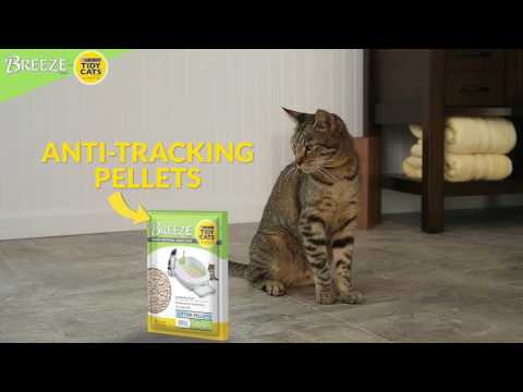 A New Look at BREEZE® Cat Litter System from Tidy Cats®