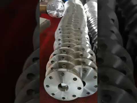 DIN2576 Pn40 St37.2 Pl Ss Flanges ISO Standard Super Duplex Stainless Steel Flange