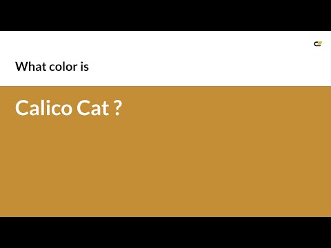 Calico Cat color #c48e36 hex color - Yellow color - Cool color c48e36