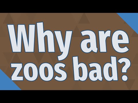 Why are zoos bad?