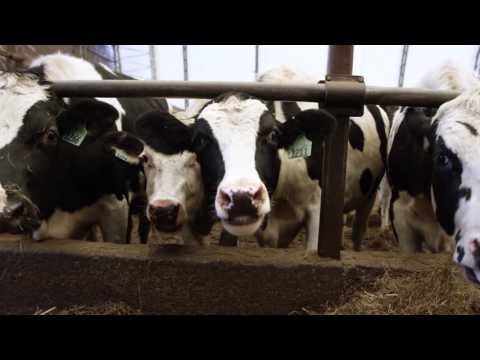 RGA Vermont Ad: "Claire"
