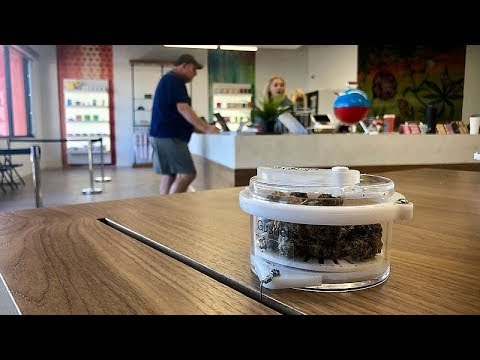 Legal Pot Shops Open For Business In Vista