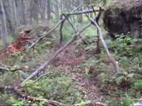 Bushcraft Lean-to Tutorial