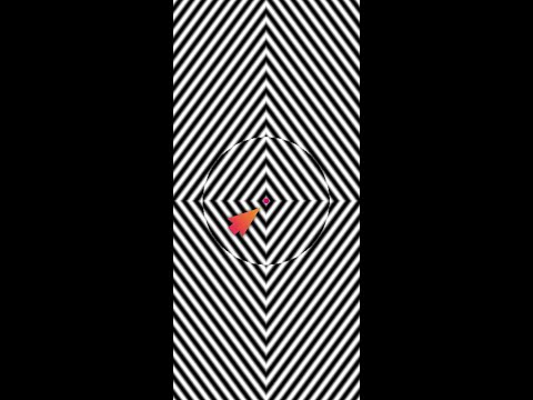 The Motion Aftereffect Illusion #shorts