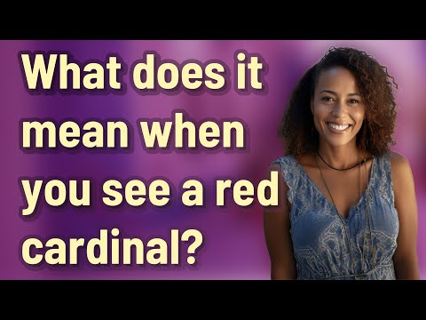 What does it mean when you see a red cardinal?