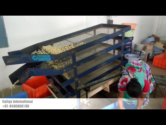 Cashew Kernel Separator - Cashew Kernels Pieces Separating Machine Manufacturer from Surat