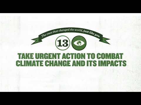 Sustainable Development Goal 13 - Climate action