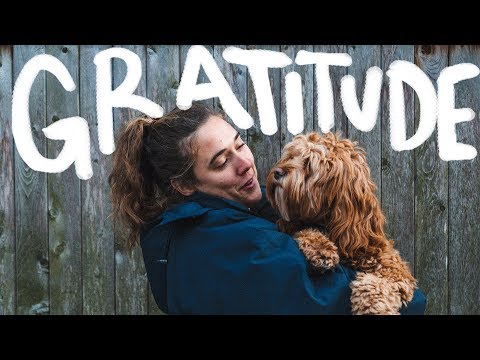 Morning Routine for Mental Health - Meditation and Gratitude