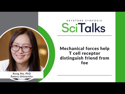 SciTalk: Mechanical forces help T cell receptor distinguish friend from foe