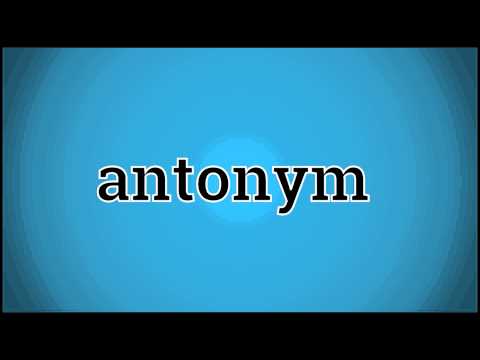 What Antonym Means