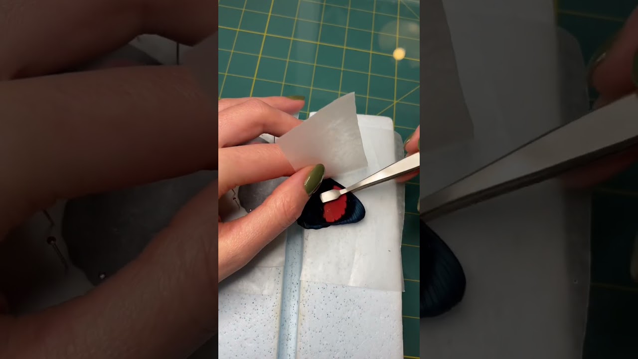 Pinning a Painted Beauty Butterfly #insects #entomology #taxidermist #art #shorts #artist