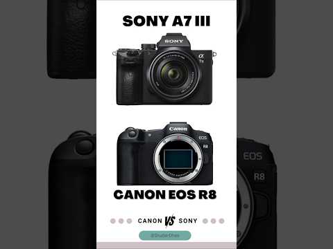 Sony a7 III vs Canon EOS R8 Full-Frame