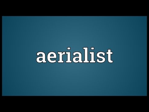 Aerialist Meaning