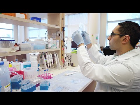 Versiti | About the Blood Research Institute