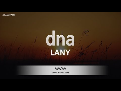LANY-dna (Karaoke Version)