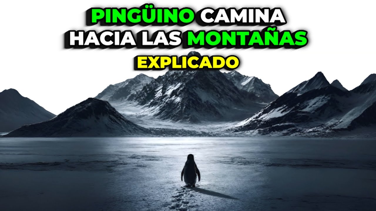 The Penguin Walking Towards the Mountains 🐧 | Explained