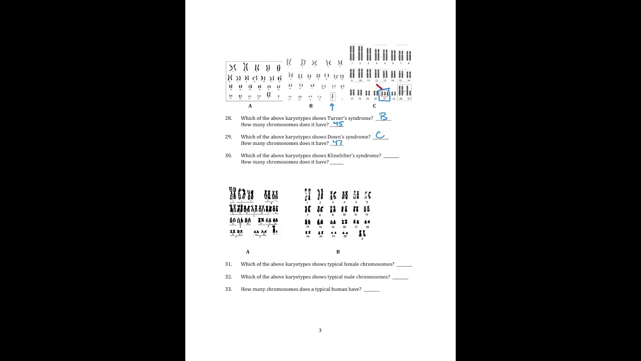 Chapter 11 Study Guide Key