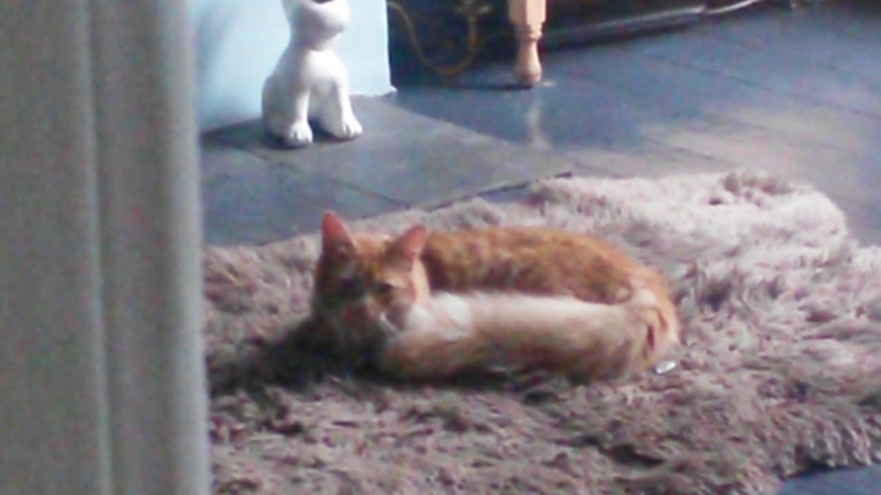 Well hello there (meme)