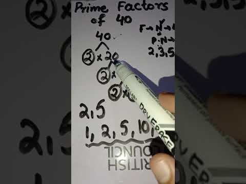 Factors of 40 | Prime factors of 40