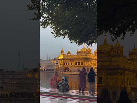 Golden Temple, Amritsar 🙏🏻✨