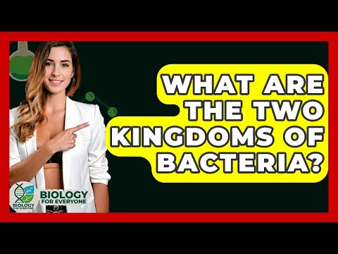 What Are The Two Kingdoms Of Bacteria? - Biology For Everyone
