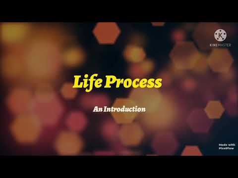 Life Process# Definition# What is life# coordination of life process# maintaining life.